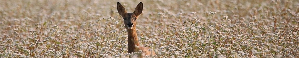 Nouveau à la rentrée 2024, le bac professionnel GMNF ! - Lycée Claude ...